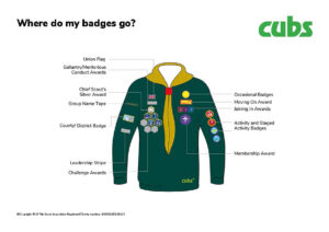 Cub-Badge-Placement | Bognor Regis & District